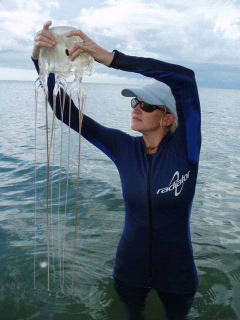 photo-gallery-dr-teresa-carrette-science-venom-research-box-jellyfish-television